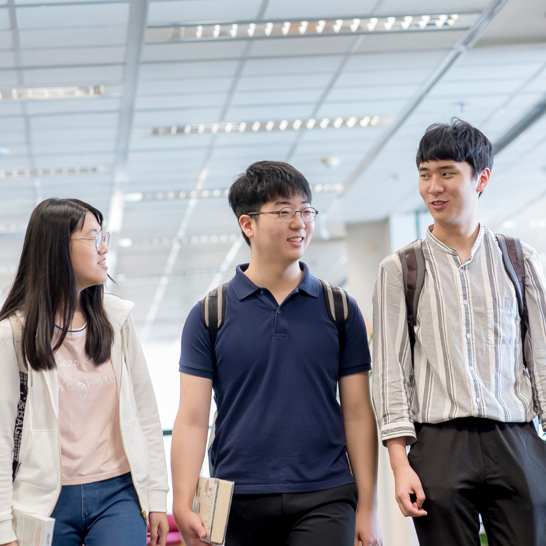 School Of Humanities And Social Science Hkust Undergraduate Admissions
